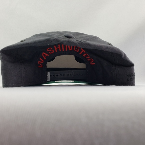 ‘47 Brand | Accessories | 47 Brand University Of Washington Snapback ...